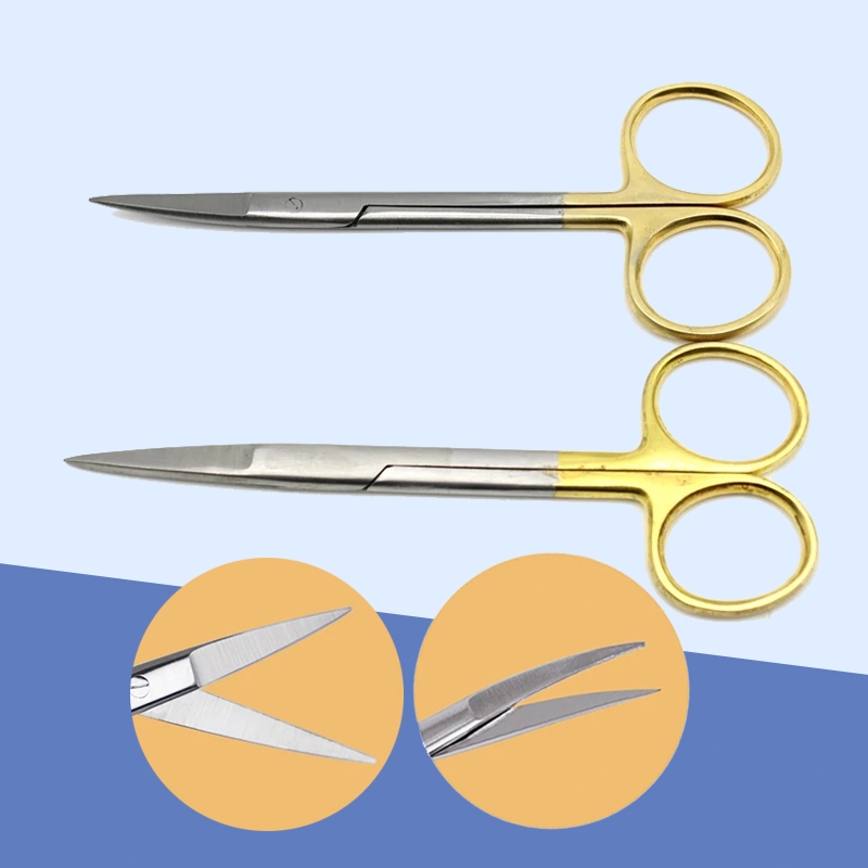 Jual 1pcs dental tissue scissors stainless steel surgical forceps ...