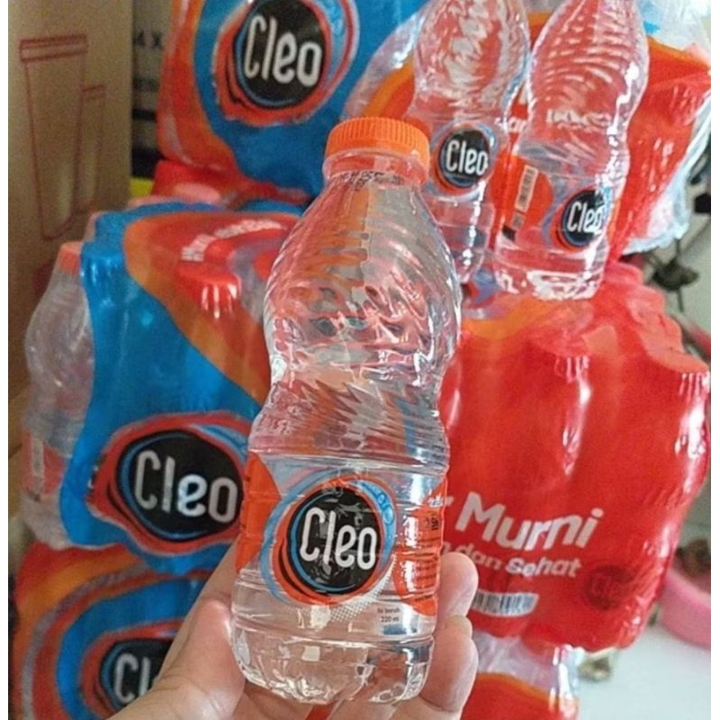 Jual cleo air mineral 220ml 24 botol | Shopee Indonesia