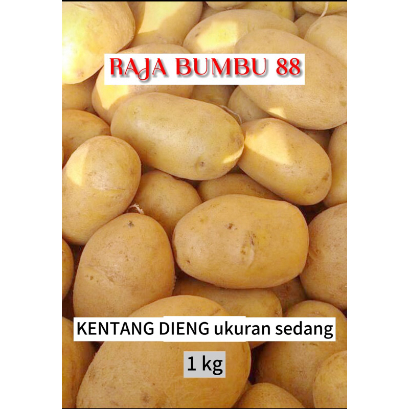 Jual KENTANG DIENG ukuran sedang 1 kg | Shopee Indonesia