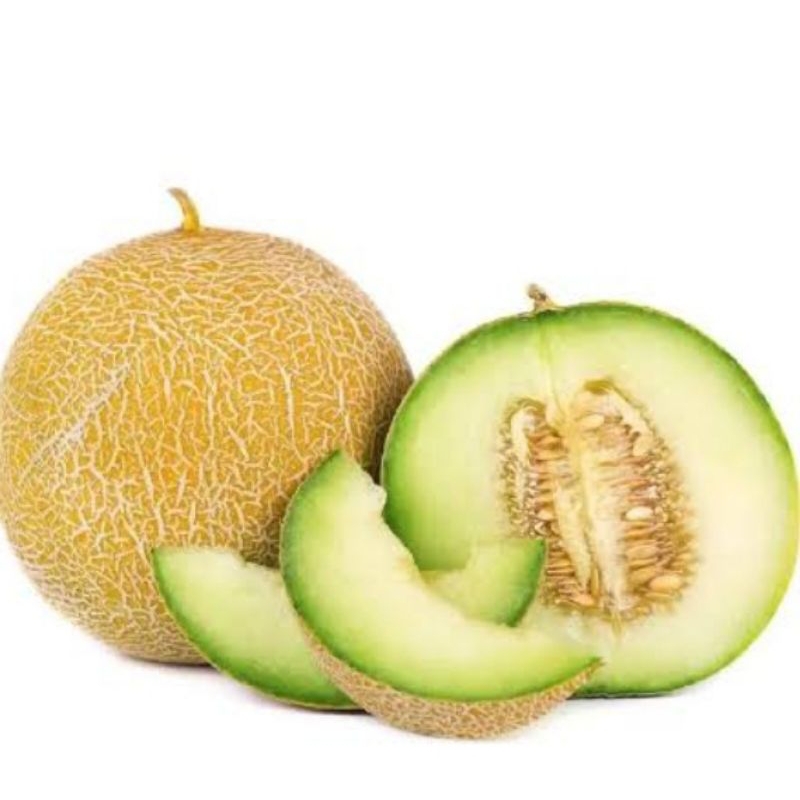Jual MELON MADU MANIS FRES ( 1 BUAH 1KG ) | Shopee Indonesia