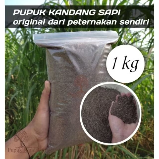 Jual Pupuk kadang kohe sapi murni 1kg super | Shopee Indonesia