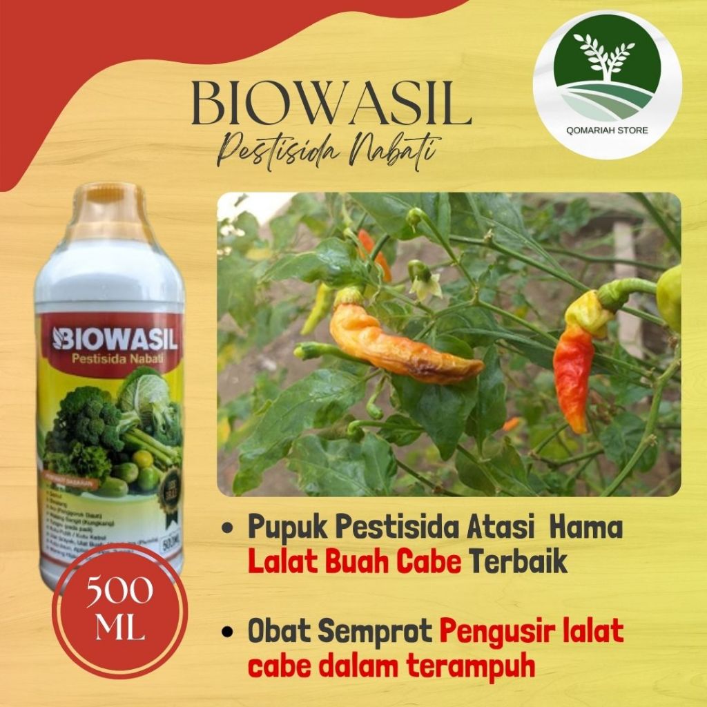 Jual Obat Semprot Hama Lalat Buah Cabai Paling Ampuh BIOWASIL 500ML ...