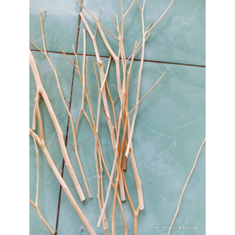 Jual ranting kayu kering sudah serut halus (35cm) | Shopee Indonesia