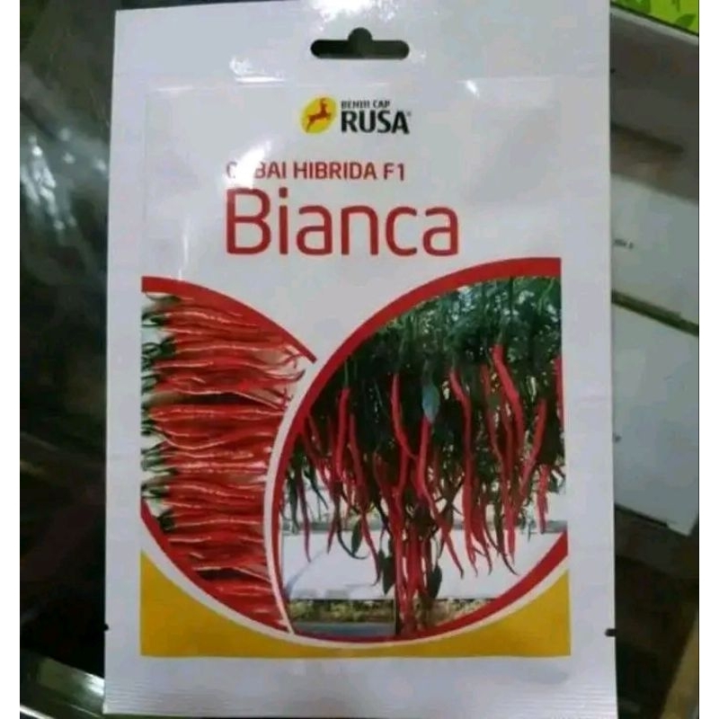 Jual Benih Bibit Cabe Bianca F1 cap rusa isi 10 grm | Shopee Indonesia