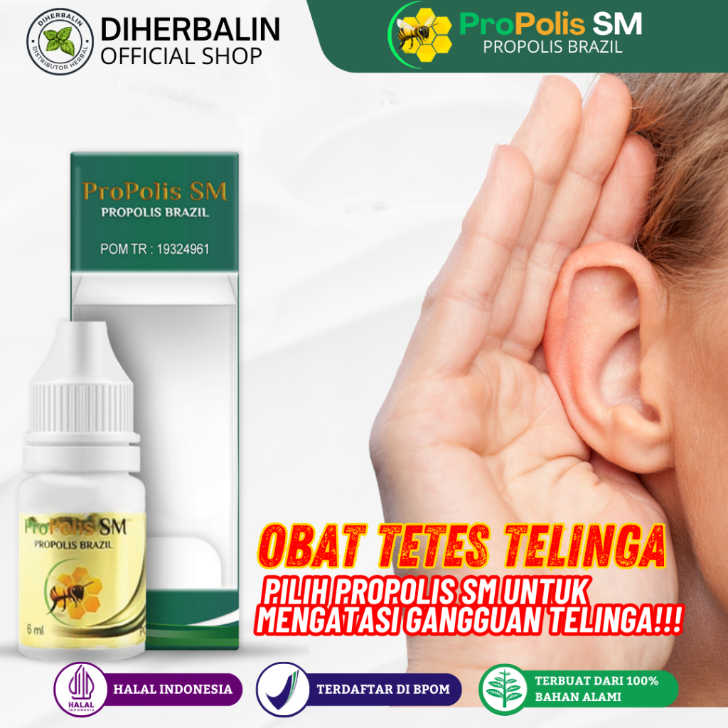 Jual Obat Tetes Telinga Herbal Propolis SM: Atasi Kotoran Keras Gatal ...