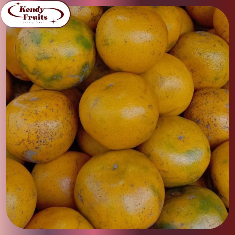 Jual JERUK Medan Super 1 kg | Buah Segar Sehat Fresh | Shopee Indonesia