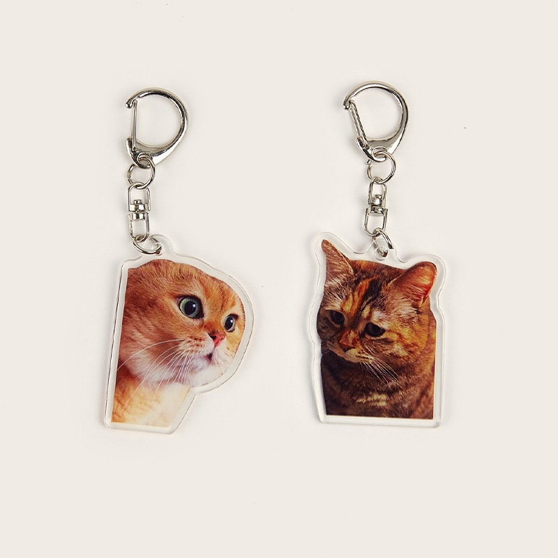 Jual Gantungan Kunci Meme Cat Akrilik Transparan Keychain Cat Gift ...