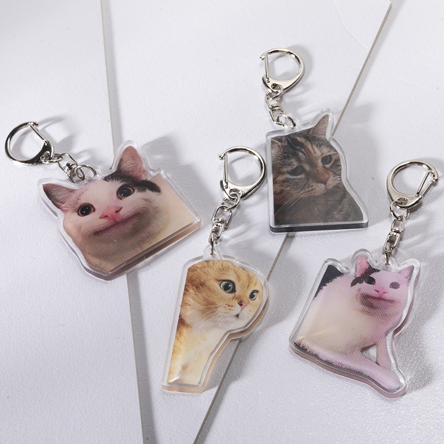 Jual Gantungan Kunci Meme Cat Akrilik Transparan Keychain Cat Gift ...