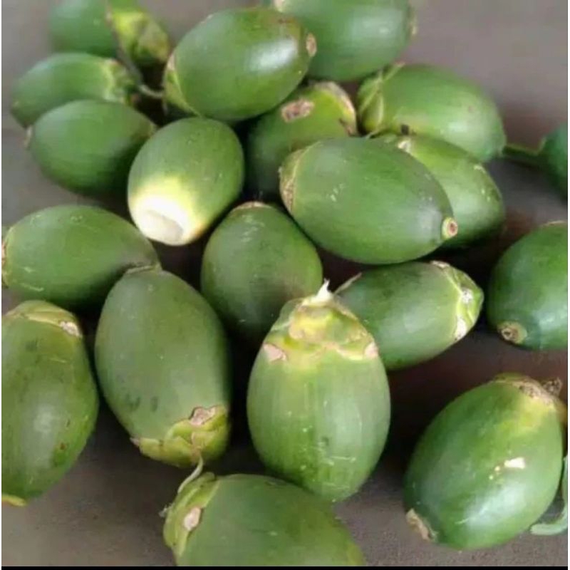 Jual Buah pinang muda fres/jambe 1kg | Shopee Indonesia