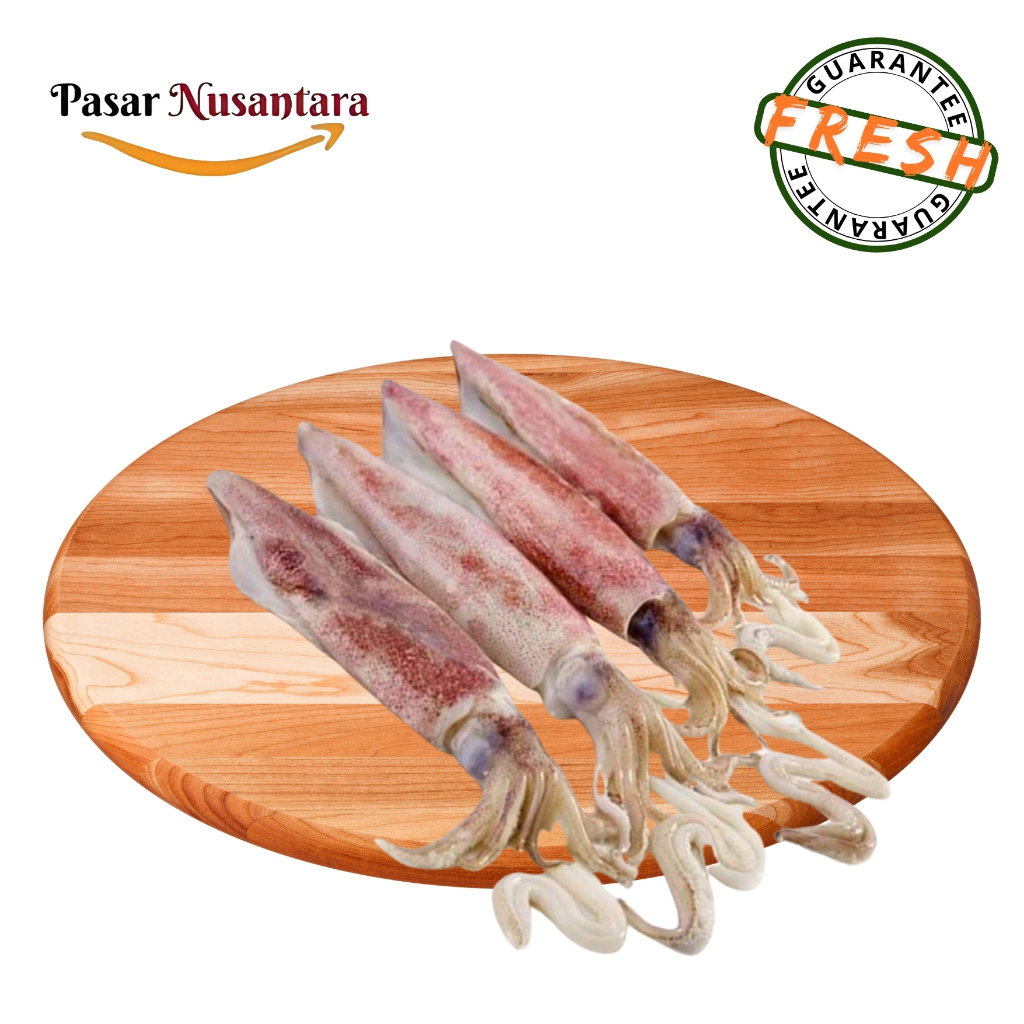 Jual Cumi cumi fresh 250 gram - Pasar Nusantara | Shopee Indonesia