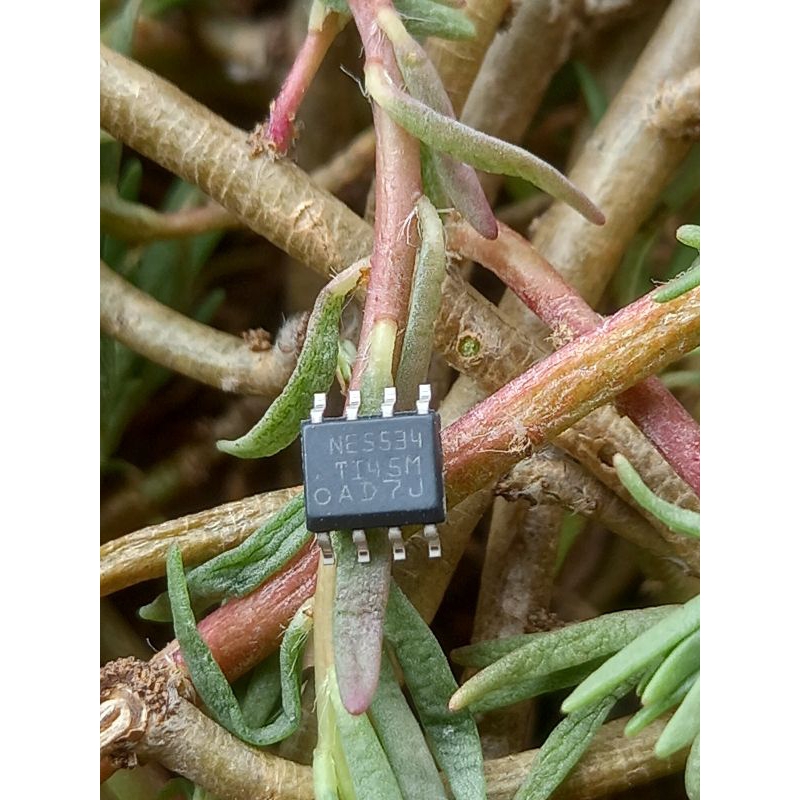 Jual ic ne5534 ne 5534 DR sop-8 orginal | Shopee Indonesia