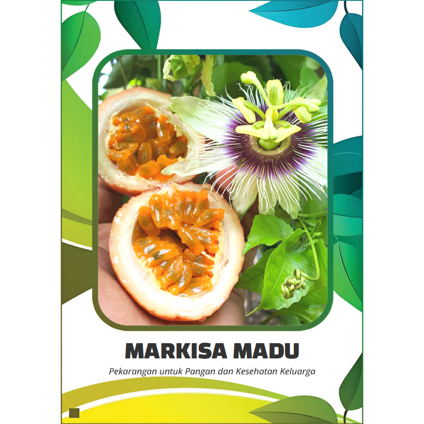 Jual Benih Markisa Madu isi 25 Biji / Benih Bunga Vegetasi Markisa ...