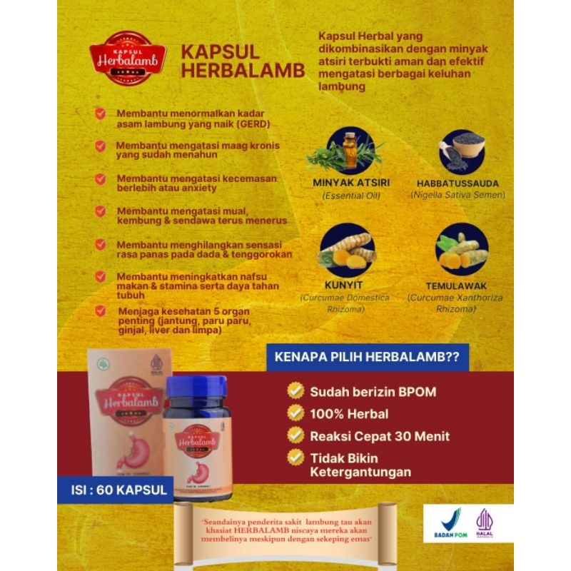 Jual obat lambung gerd maag herba lamb kapsul cepat dan menyembuhkan ...