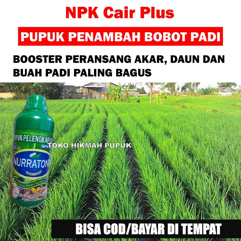 Jual OBAT PELEBAT TANAMAN ANAKAN PADI & Jenis Padi Sawah Lainnya NPK Cair Plus - Obat Penyubur ...