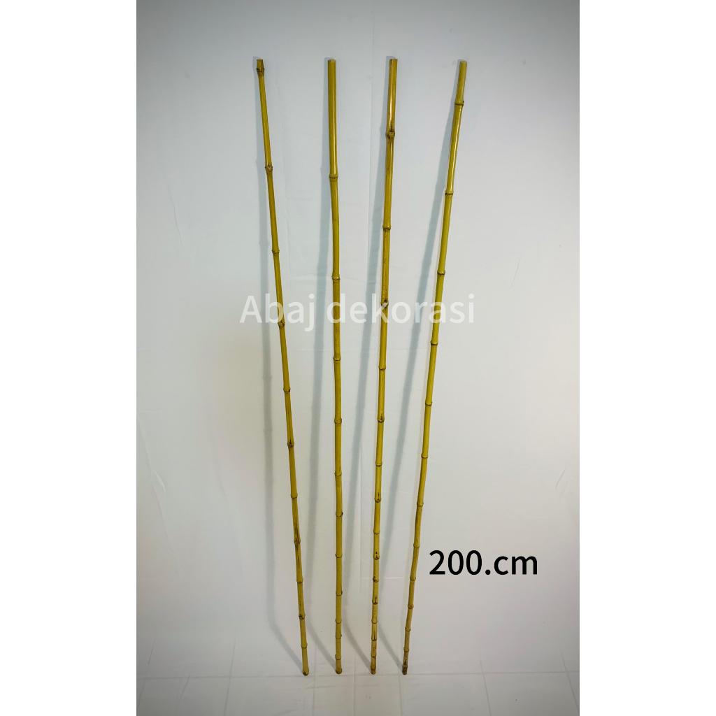 Jual Bambu Kuning Cendani 2 M - Bambu Dekorasi Hiasan Rumah ...