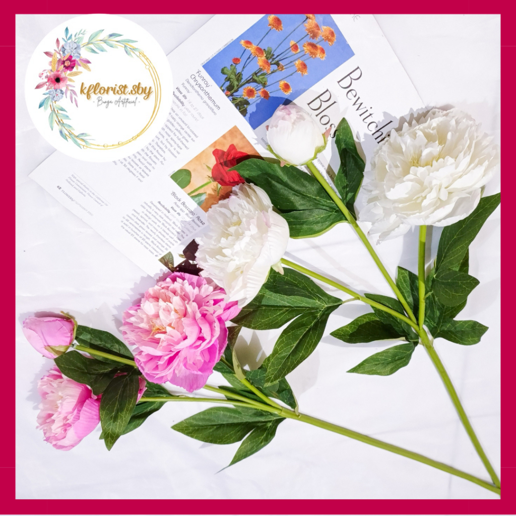 Jual Bunga Mutan Peony Jumbo Tangkai Panjang Cabang 3 diameter 11cm ...
