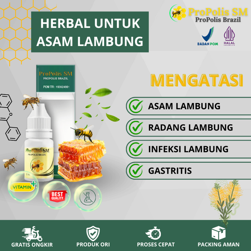Jual Untuk Asam Lambung, Maag, Tukak Lambung, Infeksi Lambung, Gangguan ...
