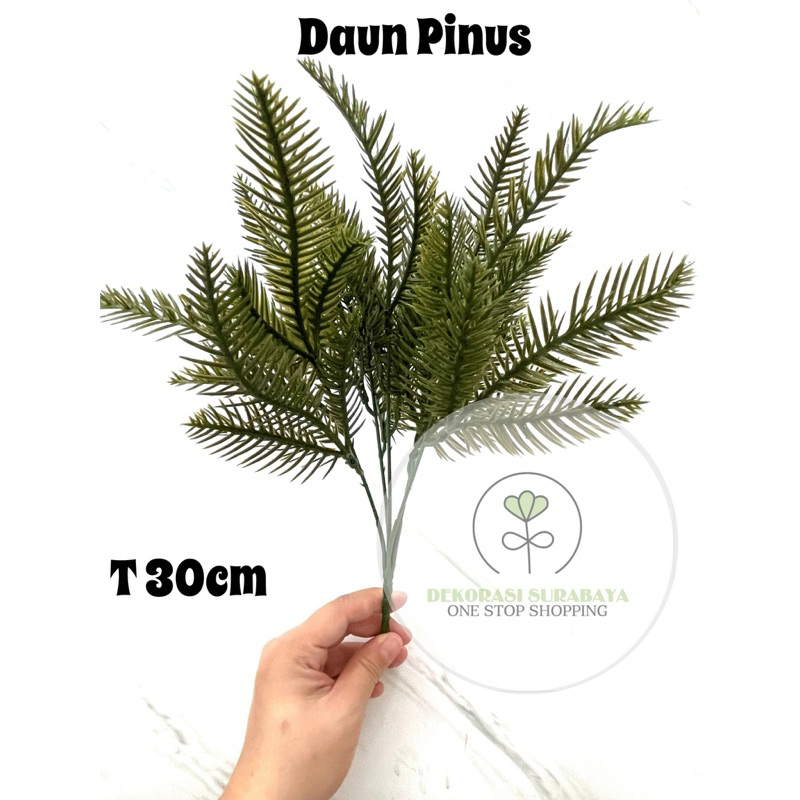 Jual Daun Rumput Cemara Natal / Daun Asparaga Halus / Daun Pinus ...