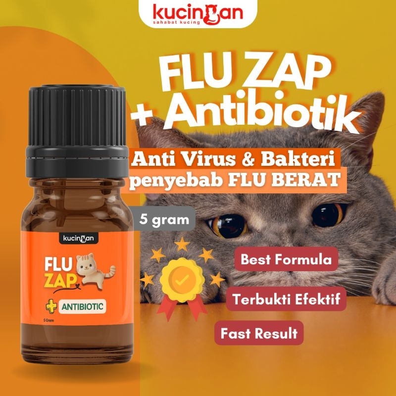 Jual FLU ZAP Kucingan Obat Flu Antibiotik Flu Berat Menahun Batuk Pilek ...
