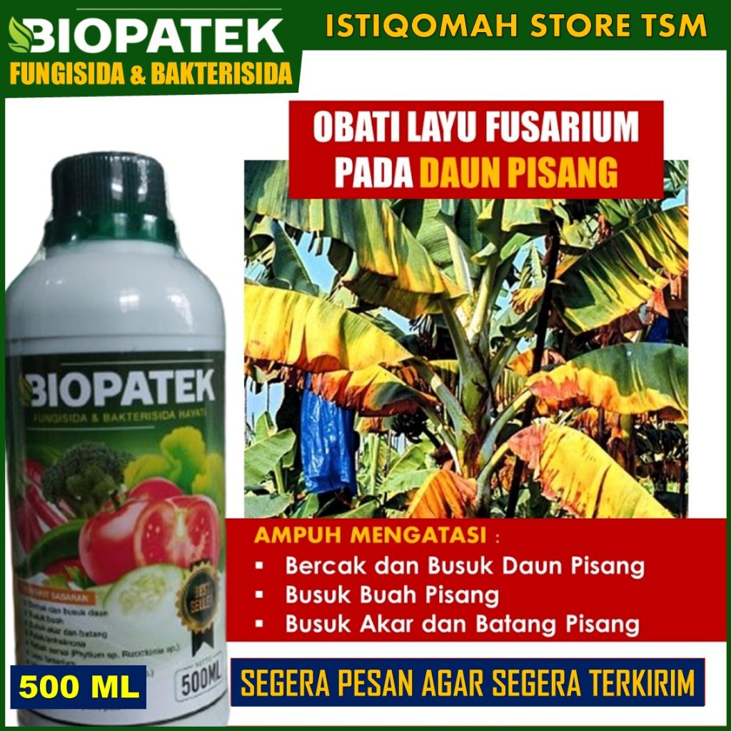 Jual Hasil Lebih Optimal dengan Biopatek: Anti Fungi, Anti LAYU FUSARIUM DAUN PISANG - PUPUK ...