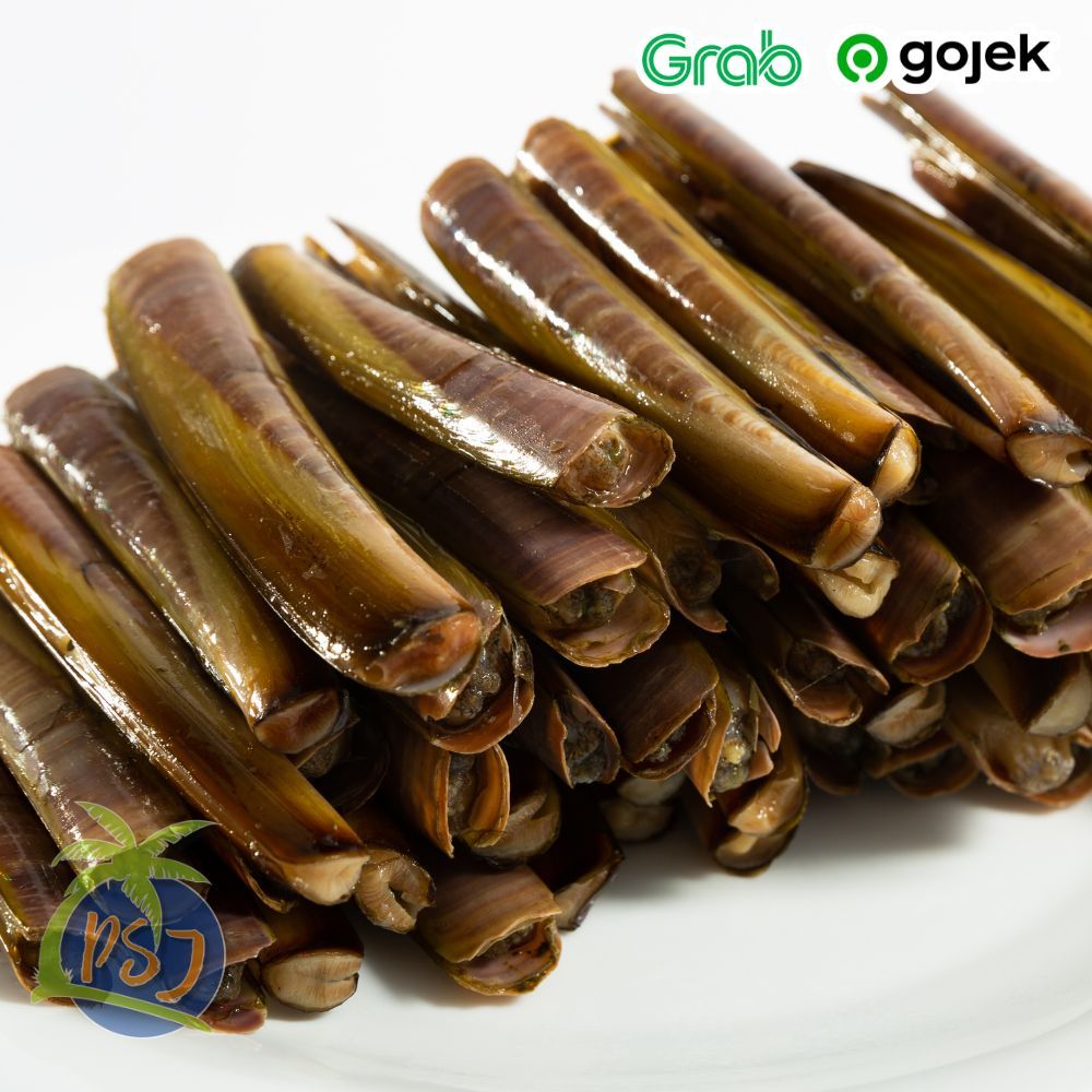 Jual Kerang Lorjuk Bambu Seafood / Kerang Bambu Segar Frozen / Bamboo ...