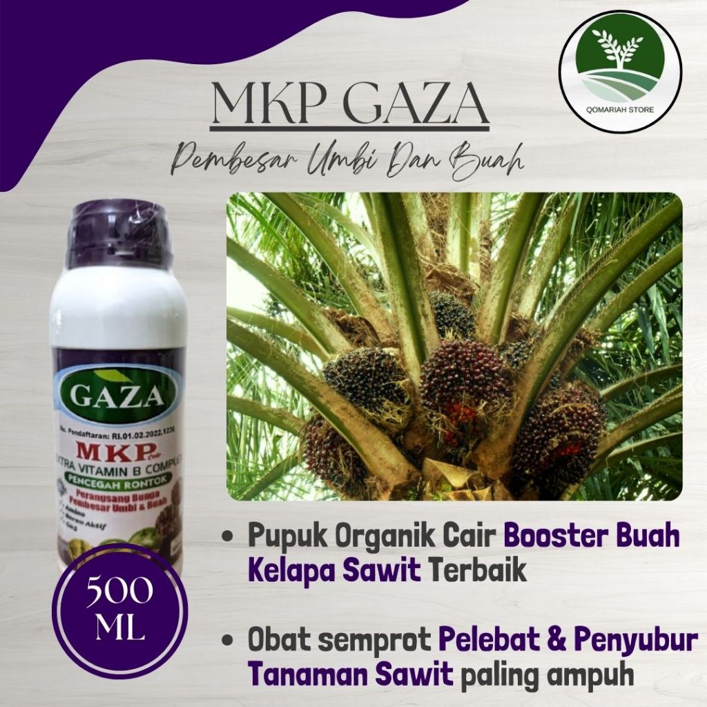 Jual pupuk penyubur pelebat buah kelapa sawit paling bagus MKP GAZA 500ML - obat semprot ...