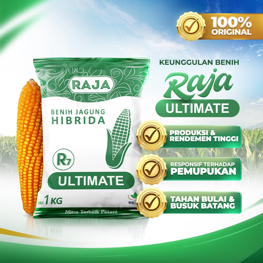 Jual Benih Jagung RAJA R7 Ultimate - 1kg | Shopee Indonesia