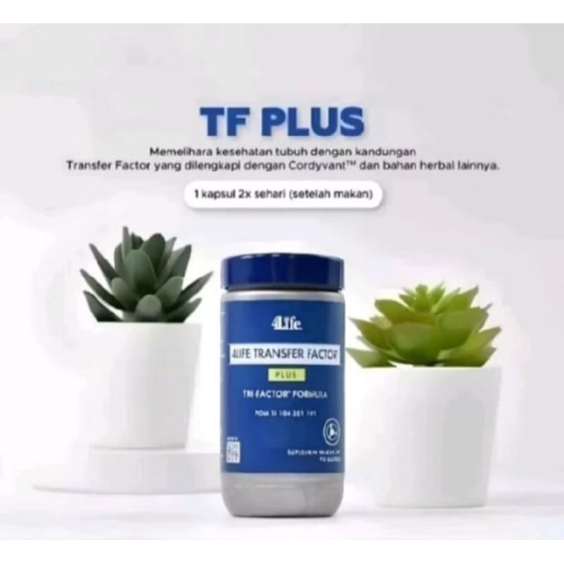 Jual 4LIFE TRANSFER FACTOR PLUS SUPLEMEN MULTIVITAMIN ORIGINAL isi 90 ...