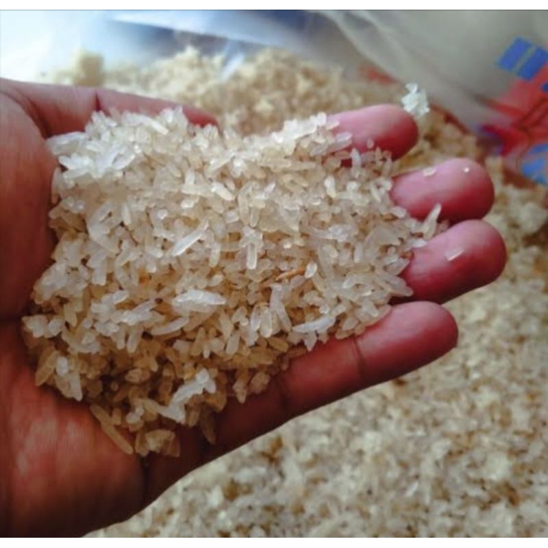 Jual nasi aking | Shopee Indonesia