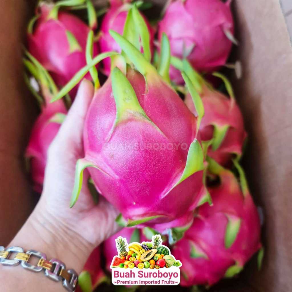 Jual Buah Naga Putih | Shopee Indonesia