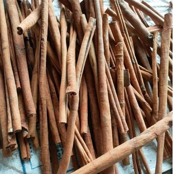 Jual KAYU Manis Original 100 ASLI | Shopee Indonesia