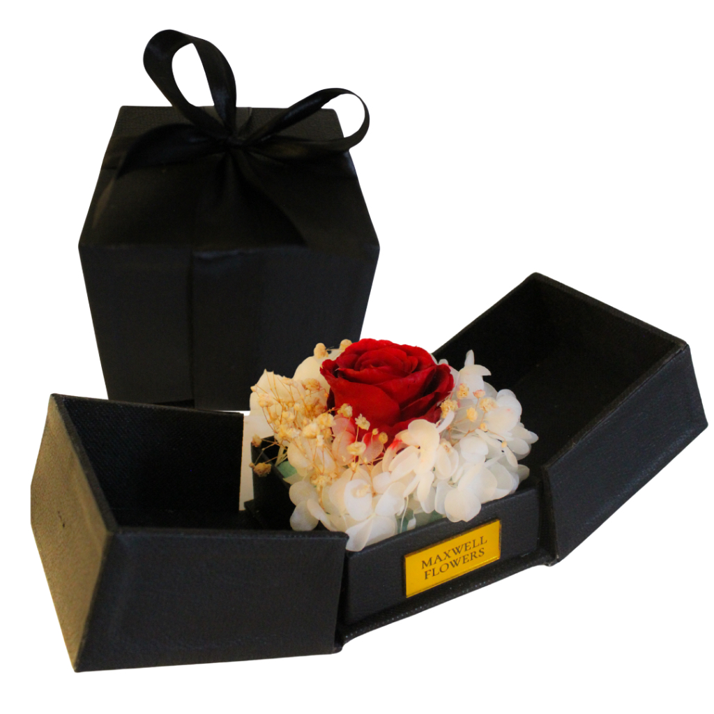 Jual Eternal Rose Box with Elegant box Preserved Roses ecuador red rose ...