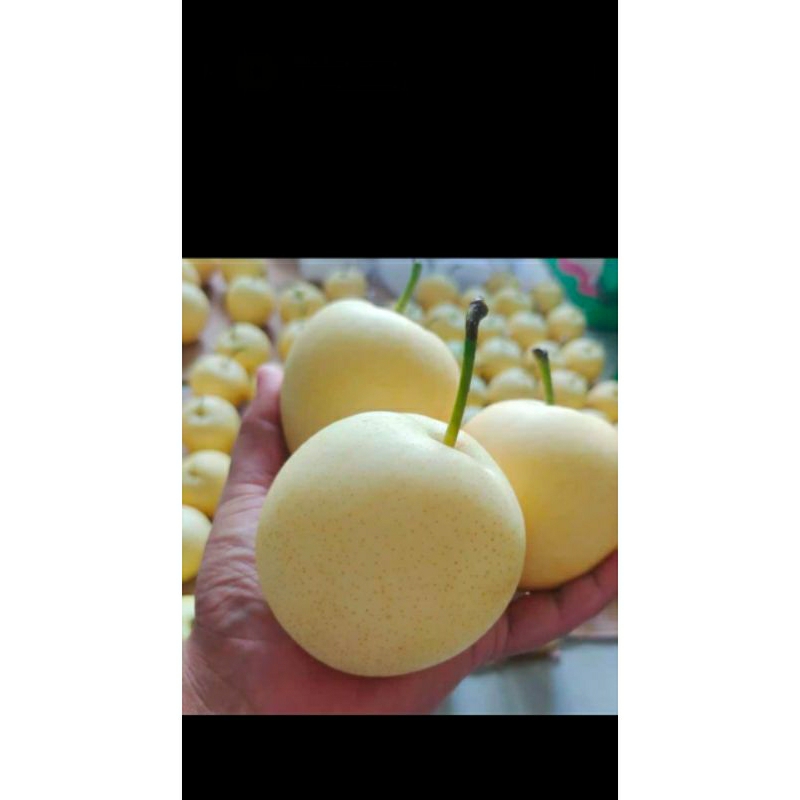 Jual pear madu | Shopee Indonesia