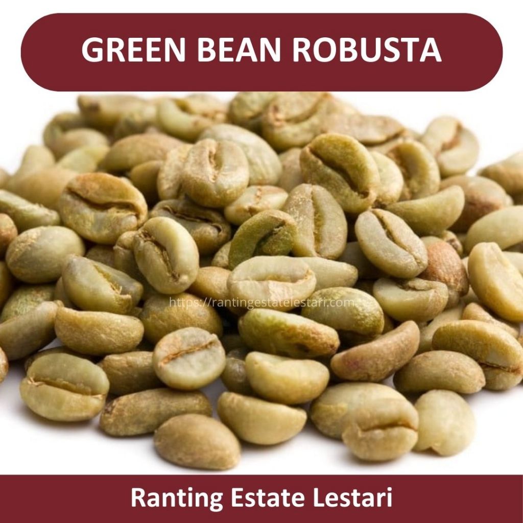 Jual GREEN BEAN Robusta G.B | Shopee Indonesia