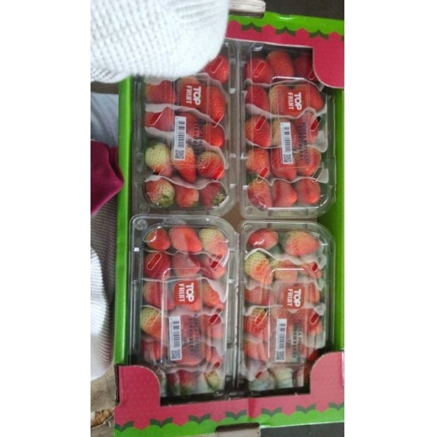 Jual strawberry Korea 330 gram | Shopee Indonesia