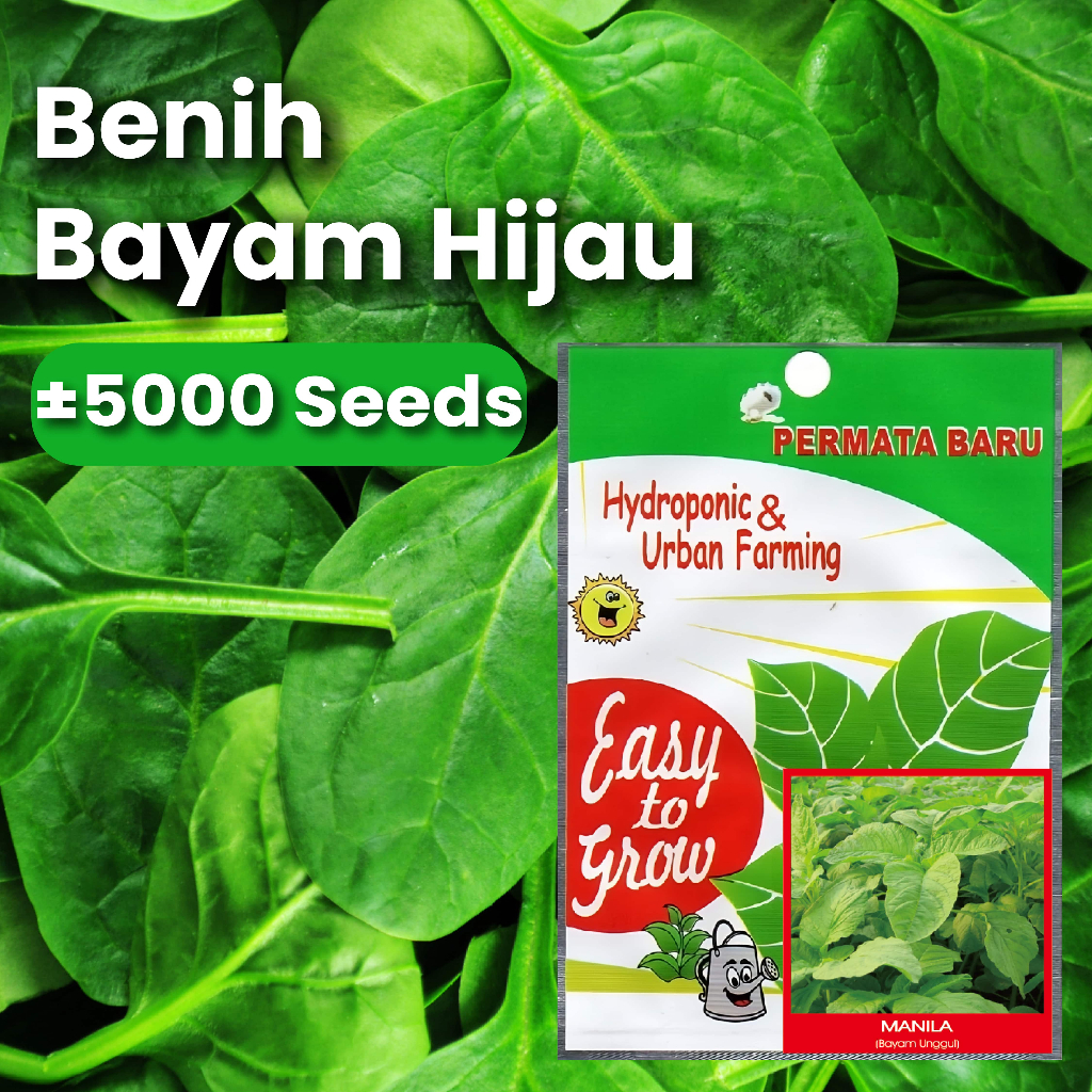 Jual Benih Bayam Hijau Manila 5000 Butir Urban Farming | Shopee Indonesia