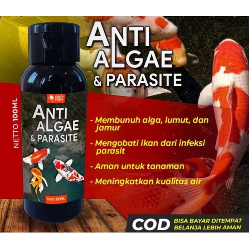 Jual Anti Algae and Parastie - Alga Remover Kolam dan Aquarium 100ML ...