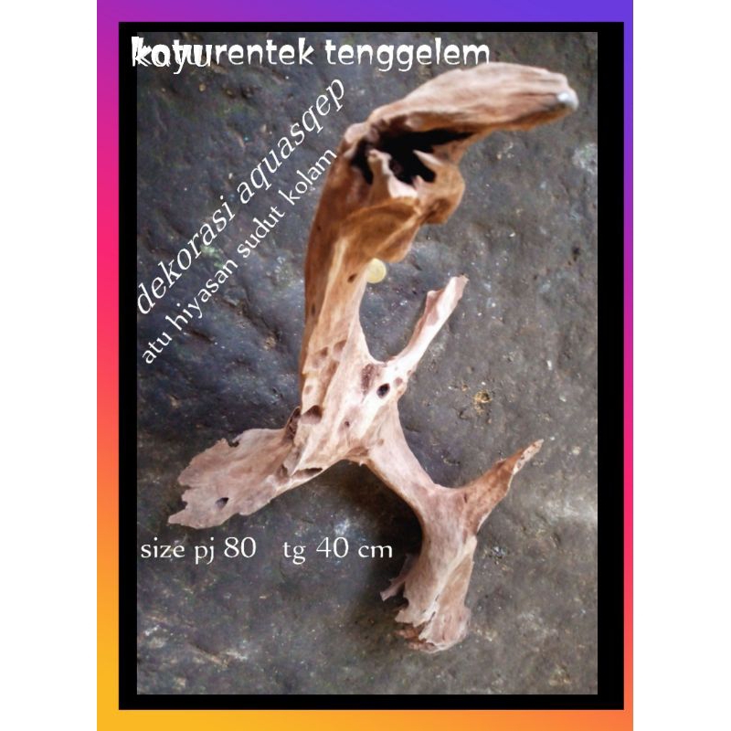 Jual kayu rentek mala posil dekorasi aquasqep variasi | Shopee Indonesia