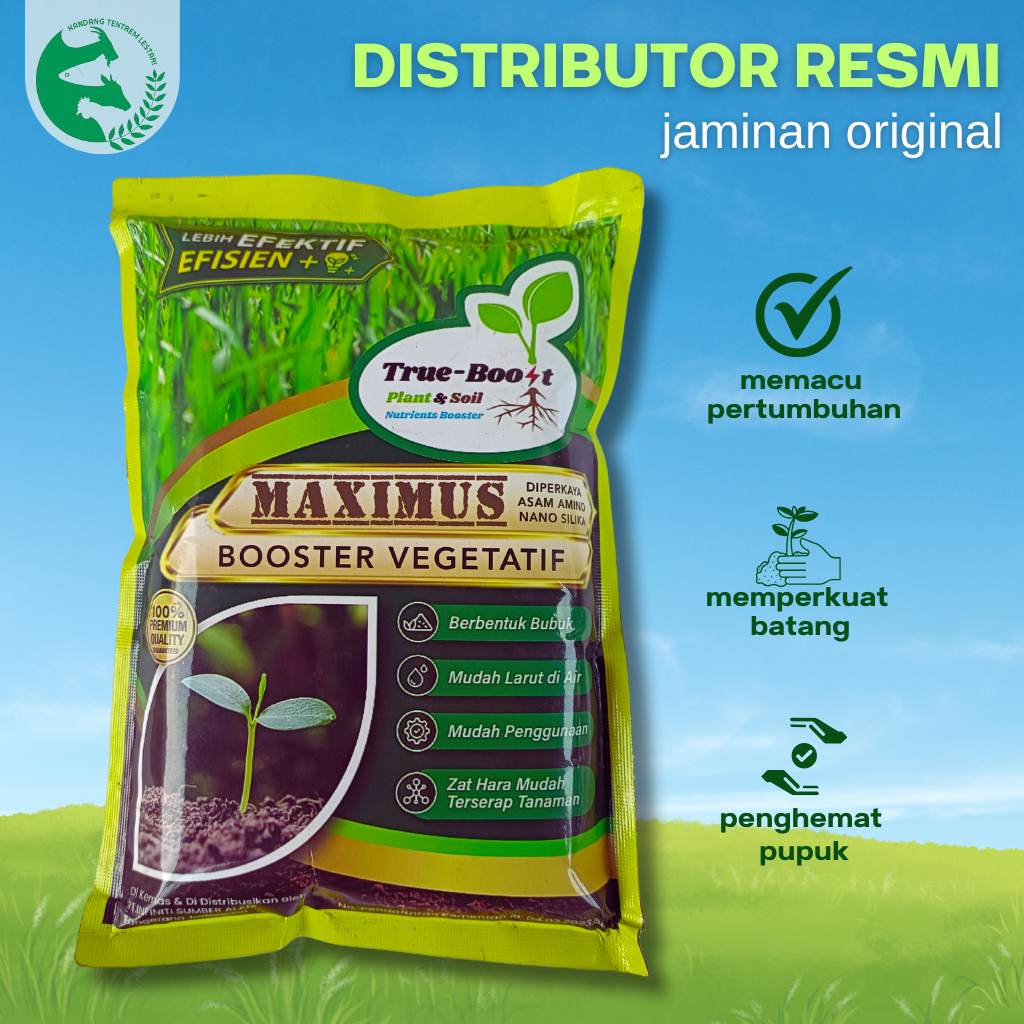 Jual Pupuk Formula Vegetatif MAXIMUS 500 gr Organik Asam Amino ZPT ...