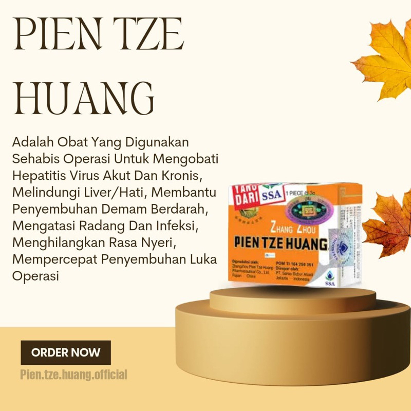 Jual PIEN TZE HUANG CAPSULE ZHANG ZHOU ASLI ORIGINAL OBAT PASCA OPERASI ...