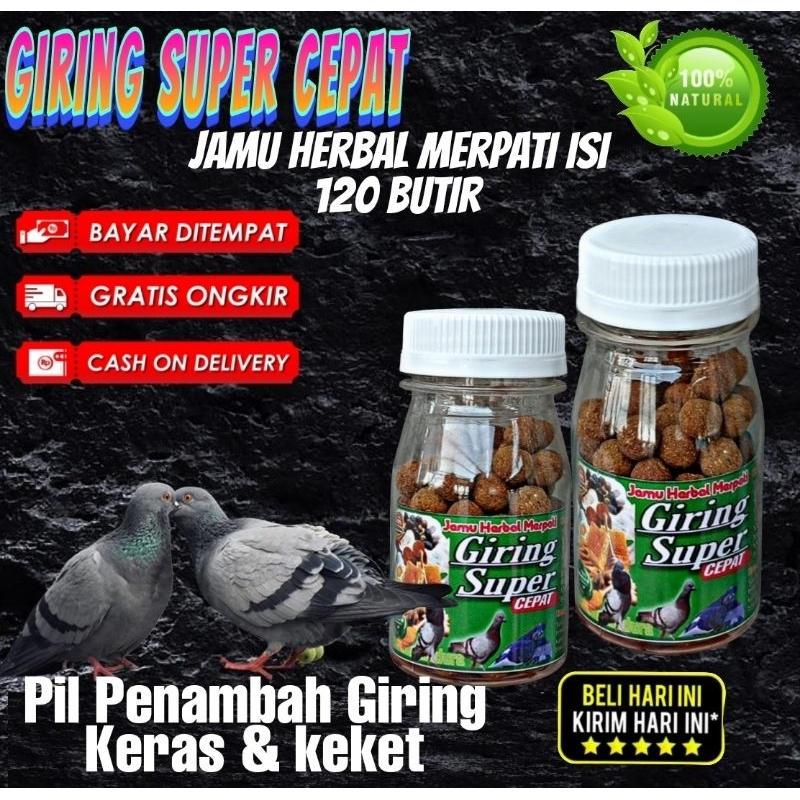 Jual JAMU MERPATI GIRING SUPER CEPAT ISI 50 BUTIR/ginseng teki sarang ...
