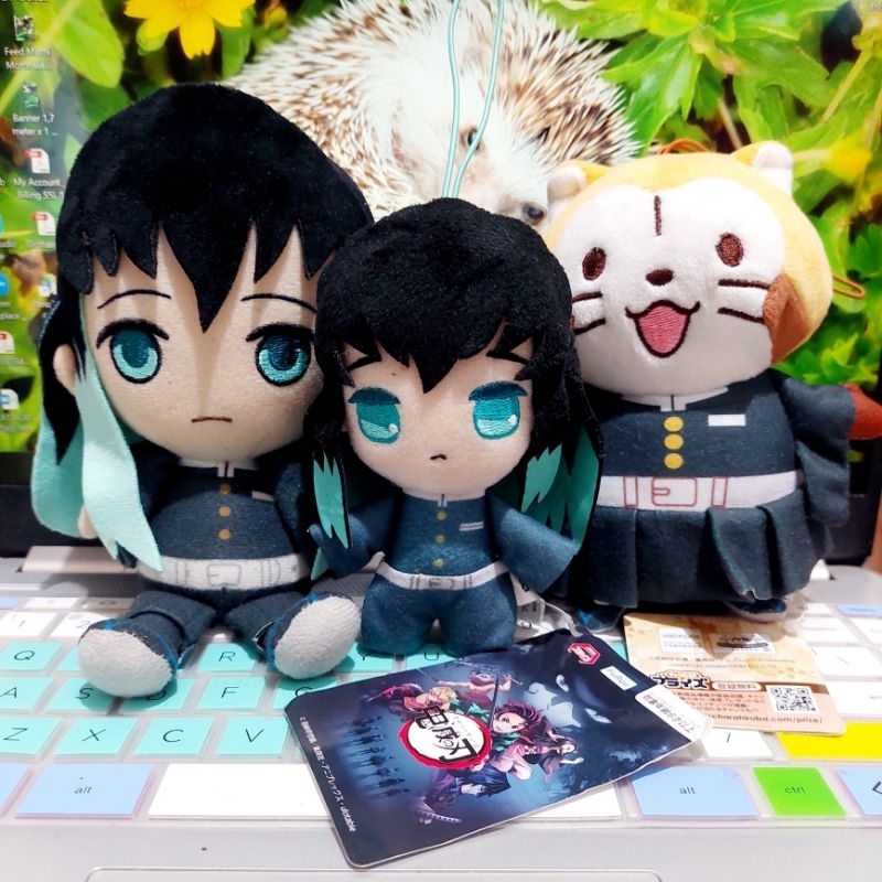 Jual AAB Muichiro Tokito Demon Slayer Plush | Shopee Indonesia