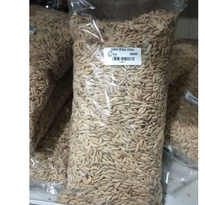 Jual gabah beras merah untuk pakan burung gabah beras merah | Shopee ...