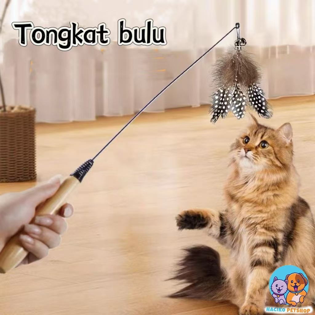 Jual [HACIKO PETSHOP] Pet Mainan Interaksi Tongkat Penggoda Kucing Cat ...