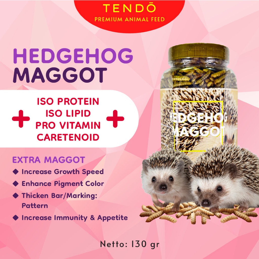 Jual Pakan Landak Mini / Hedgehog Maggot Kering Kibble Vitamin Sehat ...