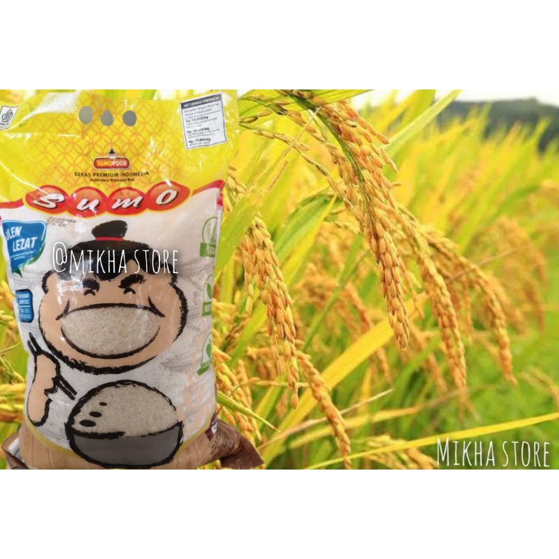 Jual Beras sumo kuning 5 kg - free ongkir | Shopee Indonesia