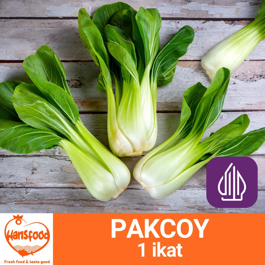 Jual PAKCOY / POKCOY SEGAR 500gr | Shopee Indonesia