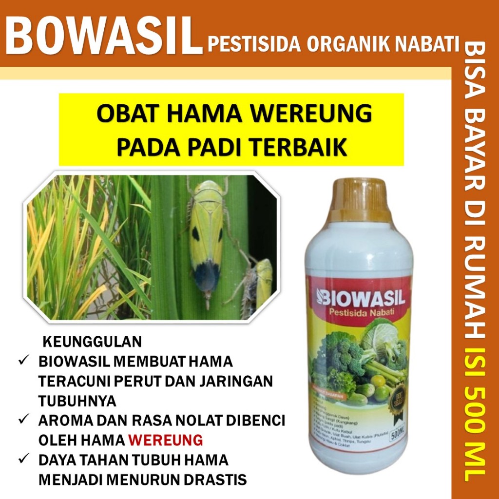 Jual BIOWASIL 500 ML Obat Semprot Hama Wereng Padi Pestisida Organik ...