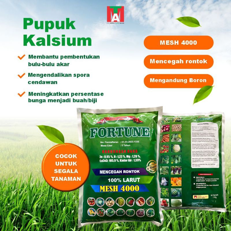 Jual Kalsium Tepung Fortune MESH 4000 – Mencegah Rontok & 100% Larut ...