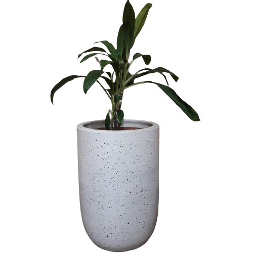 Jual Pot kapsul d 30 t 60 warna terakota putih dan hitam dari tanah ...